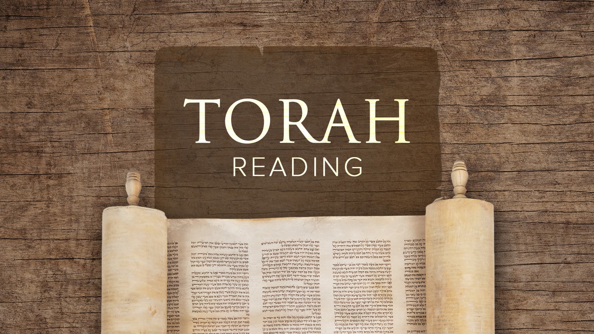 CBN Bible